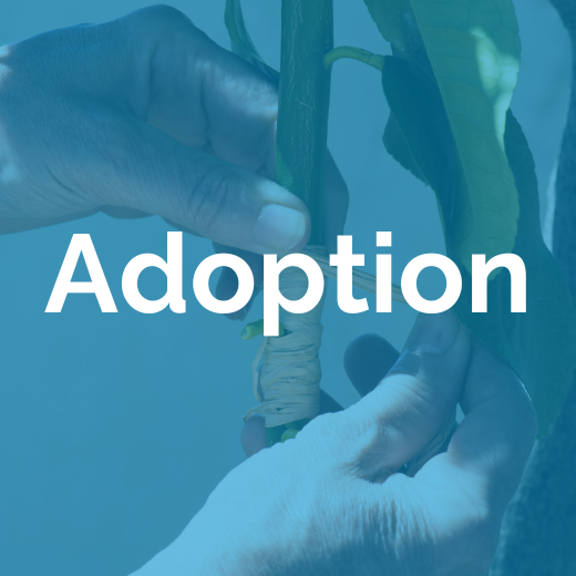 Microsoft 365 Copilot vs Dynamics 365 Copilot: Licensing, Features ...